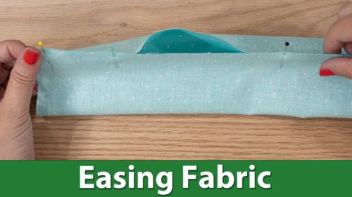 Videos - Professor Pincushion