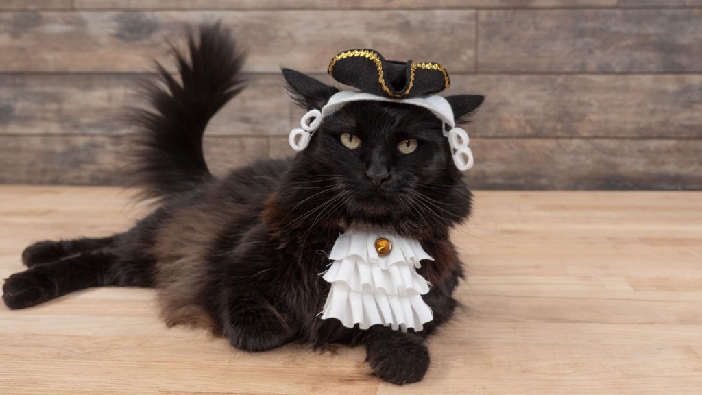 Colonial Pet Costume - Professor Pincushion