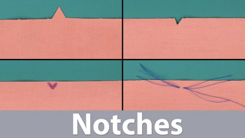 Notches - Professor Pincushion