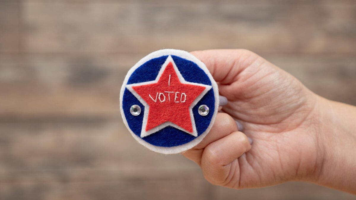 I Voted Pin - Professor Pincushion